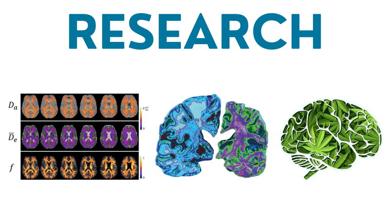 Our Work - BRIDGE Lab